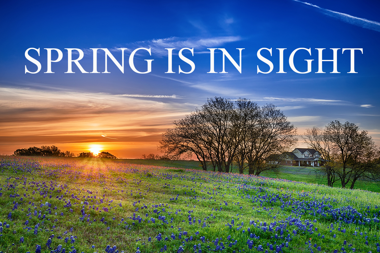 Spring is in Sight Banner - Maggies Blend Candles